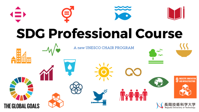 Call for Application SDG Professional Course
