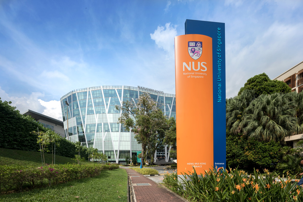 CALL FOR APPLICATION Temasek Foundation – NUS Leadership Enrichment and ...